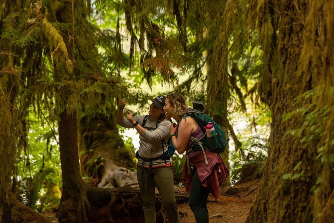 Olympic Full Day Private Tour and Hike