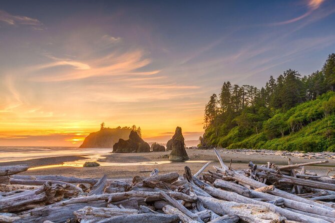Olympic National Park Day Tour from Seattle - An In-Depth Look at the Olympic National Park Day Tour