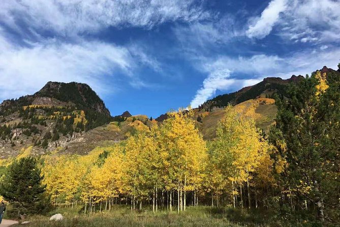 Olympic National Park Full-Day Tour W/ Scenic State Ferries - A Comprehensive Look at the Olympic National Park Full-Day Tour