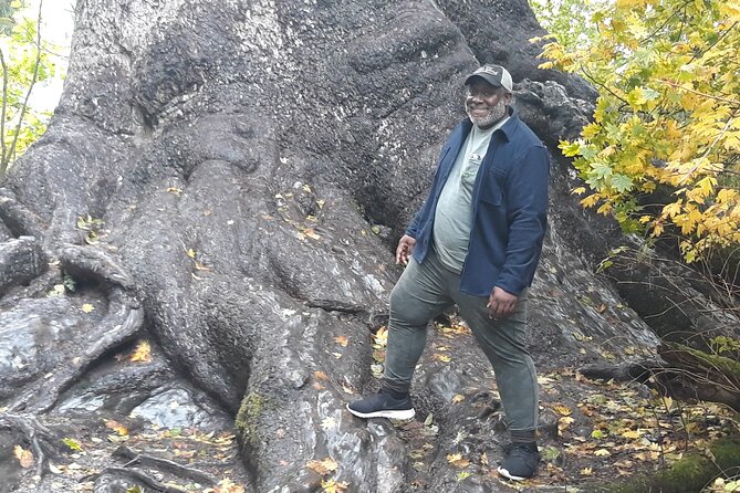 Olympic Peninsula and Forest Tour - An Overview of the Tour Experience