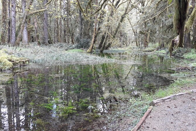 Olympic Peninsula and Forest Tour - FAQ