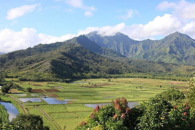 One-Day Tour Hawaii Movie Tour: Island Hopping from Oahu to Kauai - The Itinerary in Detail