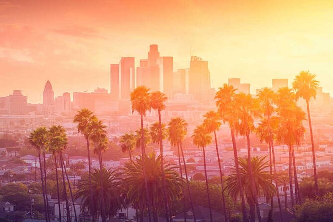 One-Way Private Transfers From/To Los Angeles Airport - What to Expect During Your Transfer