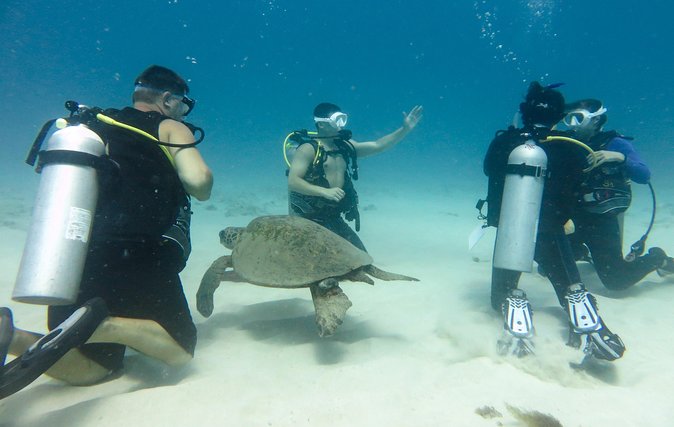 Open Water Scuba Certification - The Itinerary and What You’ll Experience