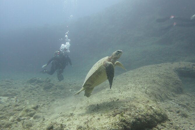 Open Water Scuba Certification - What’s Included and What You’ll Need to Bring