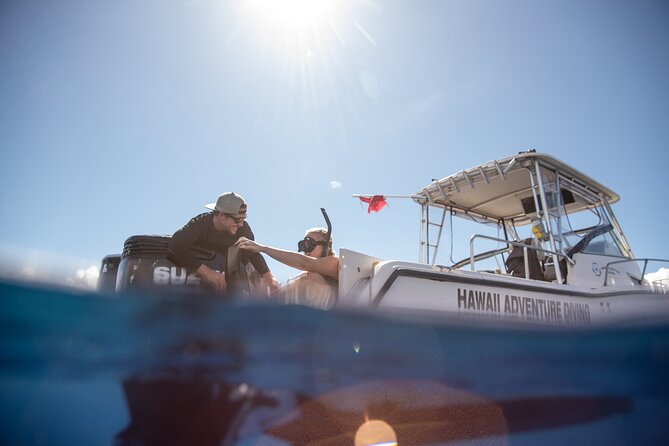 Open Water Shark Dive - Pricing and Value