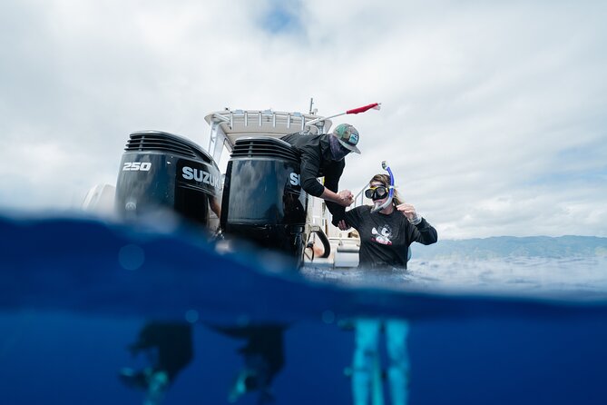 Open Water Shark Dive - Potential Considerations