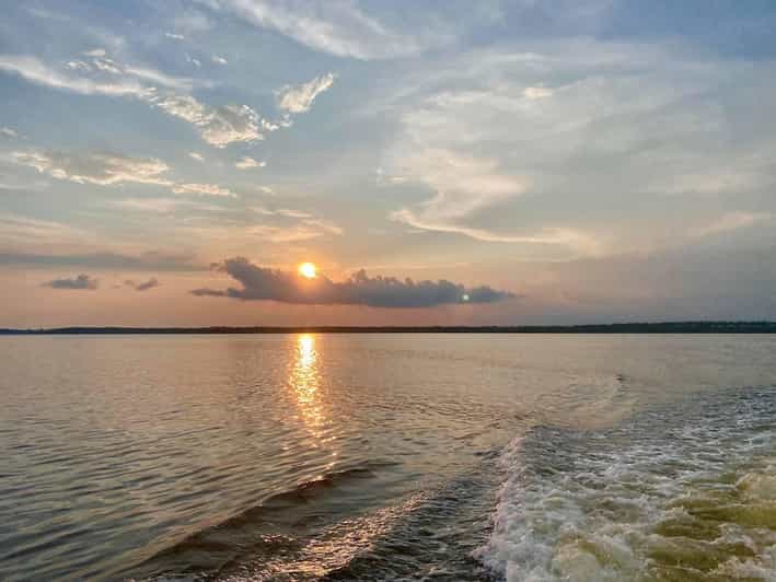 Orange Beach: Dolphin Eco Sunset Cruise aboard The Explorer