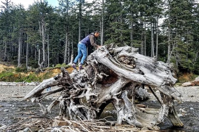 Oregon Coast Tour and Wine Tasting From Portland- Full Day Tour - Who Is This Tour Best Suited For?