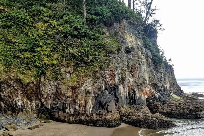 Oregon Coast Tour and Wine Tasting From Portland- Full Day Tour - FAQ