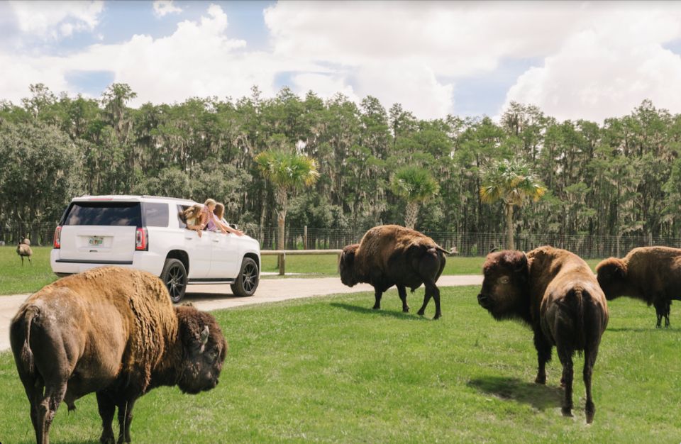 Orlando: Drive-Thru Safari Park at Wild Florida - Key Points