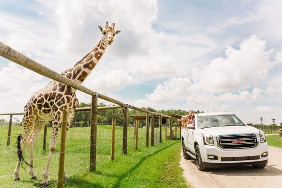 Orlando: Drive-Thru Safari Park at Wild Florida - What Makes Wild Florida Drive-Thru Safari Special?