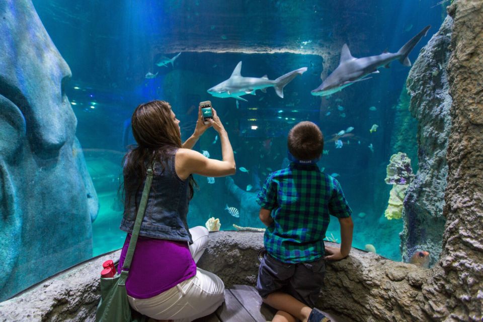Orlando: Go City Explorer Pass - Choose 2 to 5 Attractions - FAQs