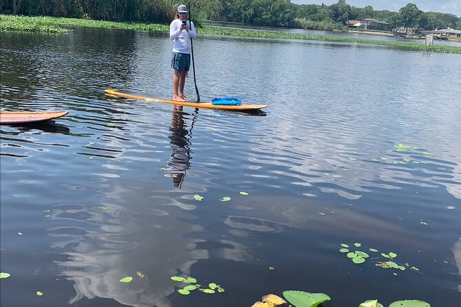Orlando Manatee and Olde Florida History Adventure Tour - What is the Orlando Manatee and Olde Florida History Adventure Tour?