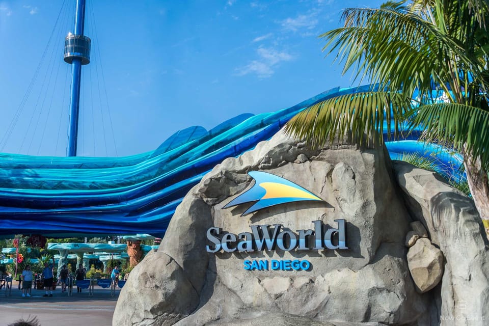 Orlando: SeaWorld Shuttle Service - Final Thoughts
