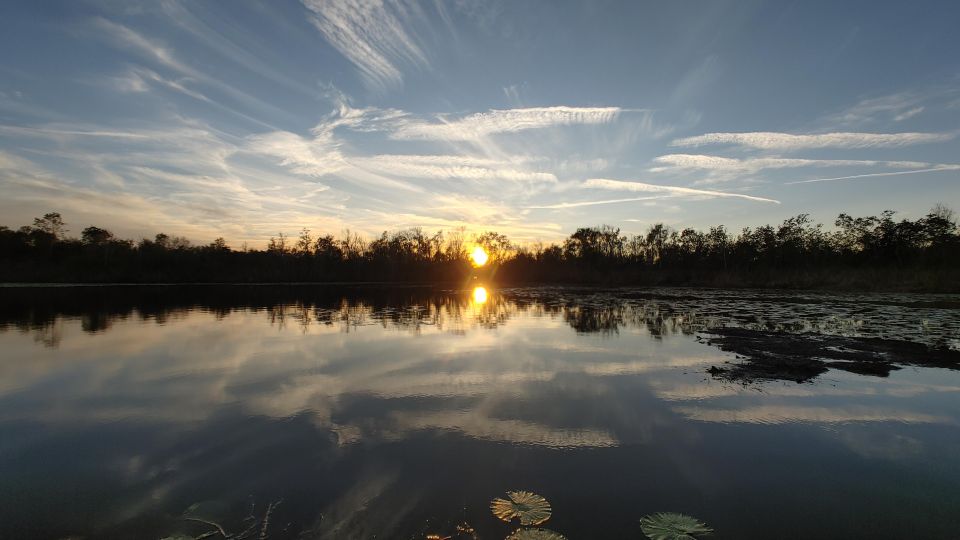 Orlando: Sunset guided kayaking tour - Why This Tour Is a Great Choice