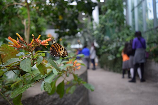 Pacific Science Center General Exhibit Admission - Final Thoughts: Who Will Love the Pacific Science Center?