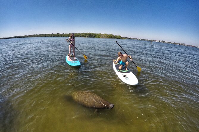 Paddle Boarding Eco Adventure Tour Jupiter Florida - Singer Island