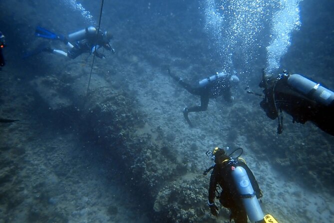 PADI Open Water Certification Course Shared Experience - The Experience and Atmosphere