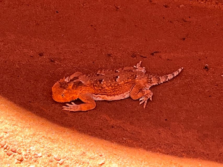 Page: Traditional Navajo Hogan Stay & Antelope Canyon Tour - Transportation and Group Size