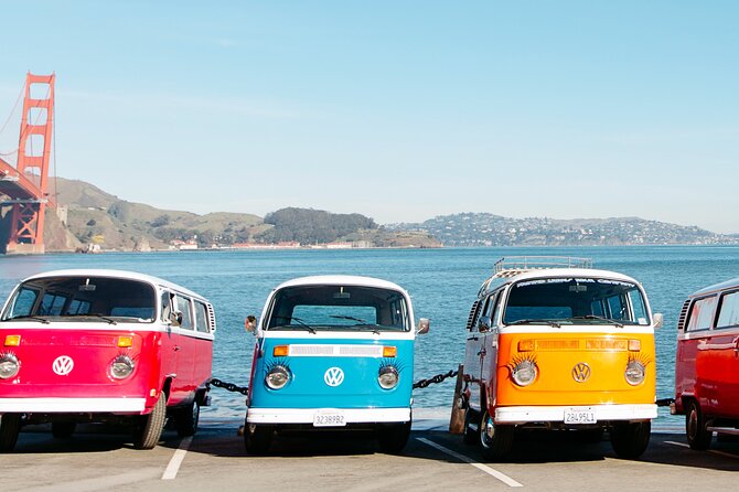 Painted Ladies Private San Francisco Tour - The Sum Up