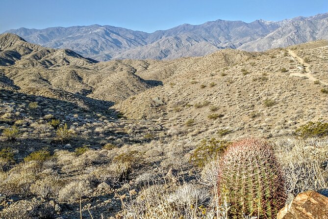 Palm Springs Hike to an Oasis and Amazing Desert Views