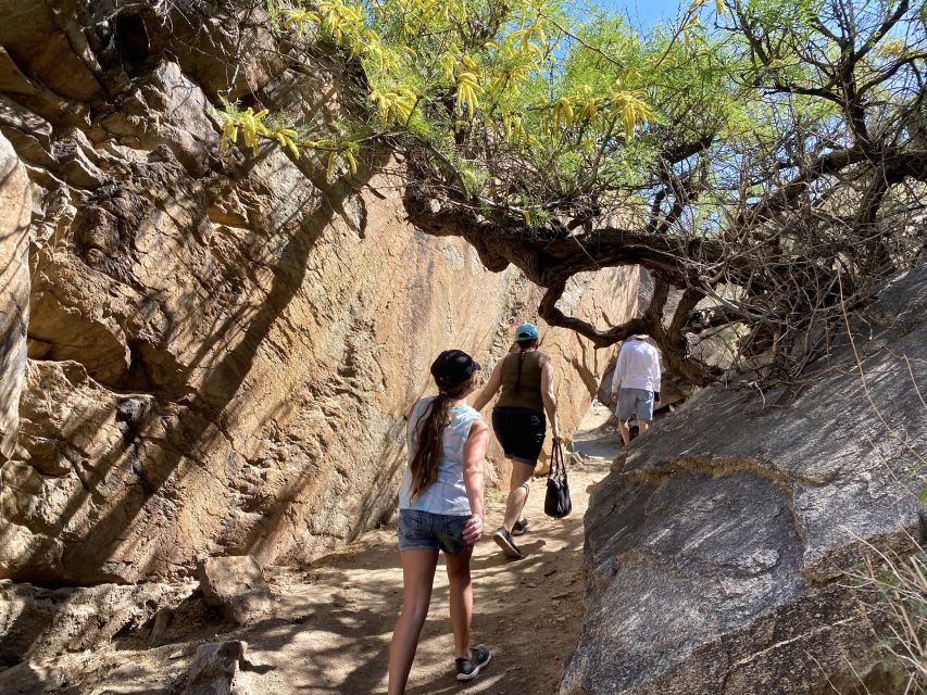 Palm Springs: Indian Canyons Jeep/Hiking Combo Tour