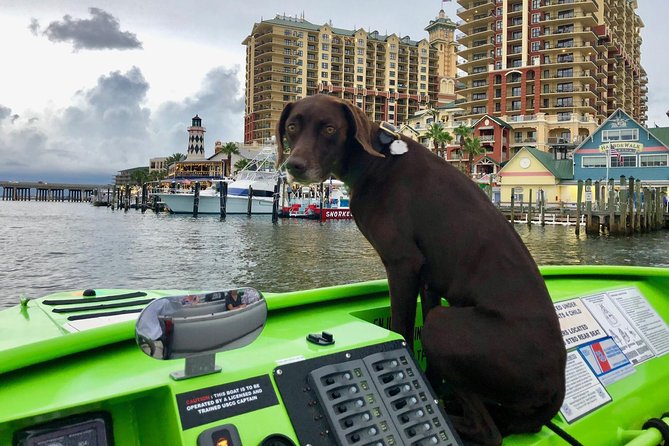 Panama City Beach's - Dolphin Sunset Cruise