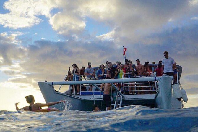 Paradise Waikiki Sunset Cruise + LIVE DJ + SWIMMING - Pricing & Value