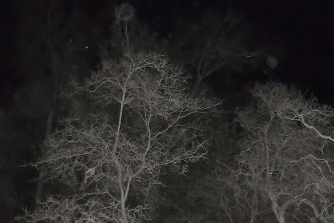 Paranormal Investigation History & Ghost Tour Old Town San Diego - Final Thoughts