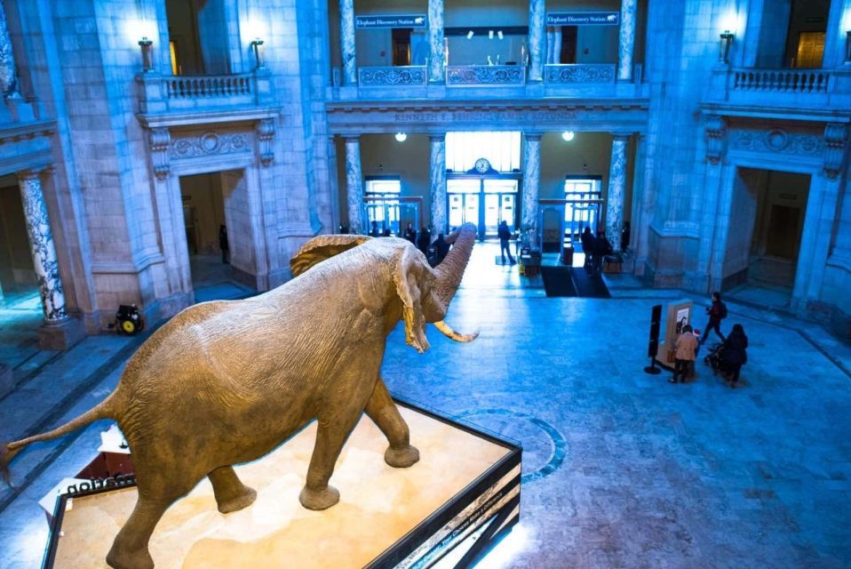 Peaceful Family walking tour in Washington - Who Will Love This Tour?