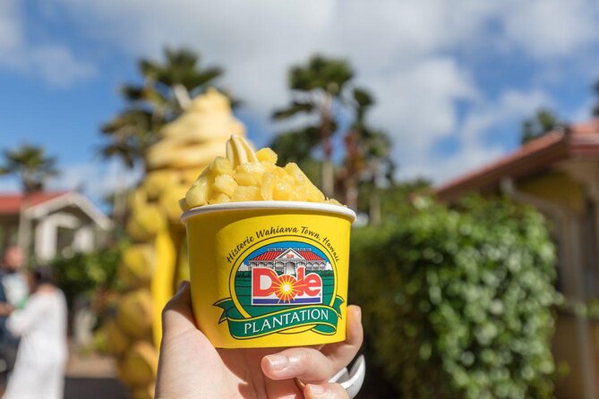 Pearl Harbor, Dole Plantation, Polynesian Center from Waikiki - Refreshing Dole Plantation Experience