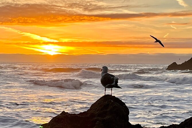 Picture your best SF tour ever! (Epic Bay Area photo adventures) - Exploring the Bay Area Through a Private Lens