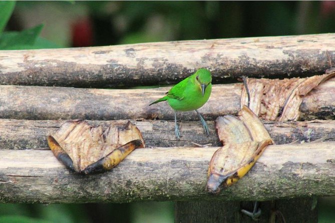 Pitch Lake & Cultural Wonders - The Sewdass Sadhu Shiva Mandir