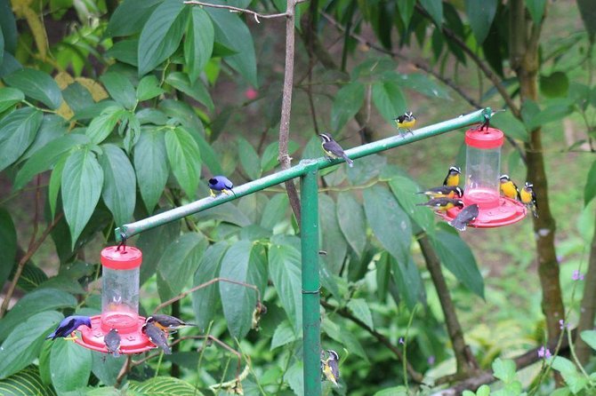 Pitch Lake & Cultural Wonders - Weather and Cancellation Policy