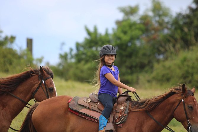 Pony Rides For Kids - A Close Look at the Experience