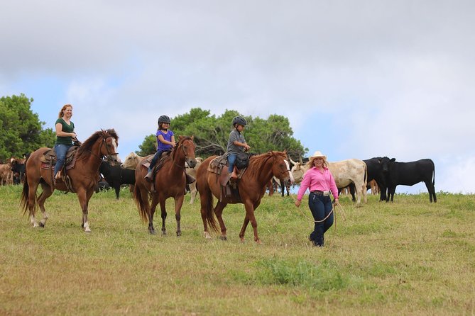 Pony Rides For Kids - The Experience at a Glance