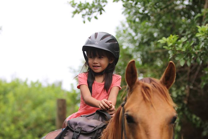 Pony Rides For Kids - FAQ