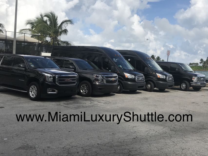 Port of Miami Shuttle to Miami Airport or Hotel in Miami - Practical Aspects and What to Expect