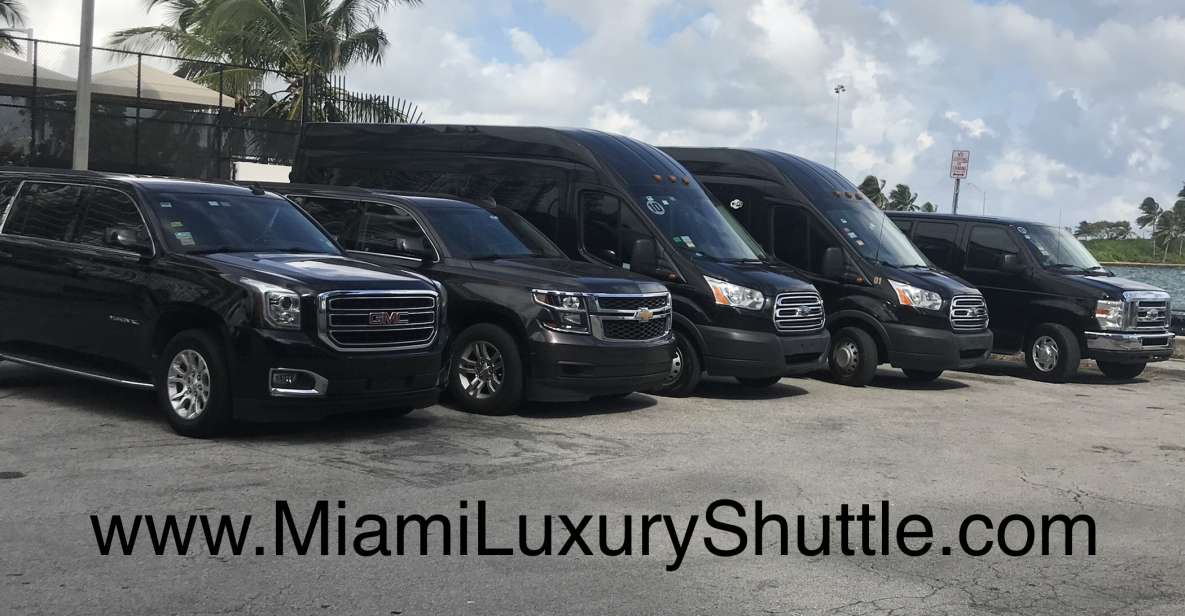 Port of Miami Shuttle to Miami Airport or Hotel in Miami - The Sum Up: Who Should Consider This Service?