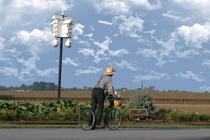 Premium Amish Country Tour including Amish Farm and House - The Itinerary: What You Can Expect