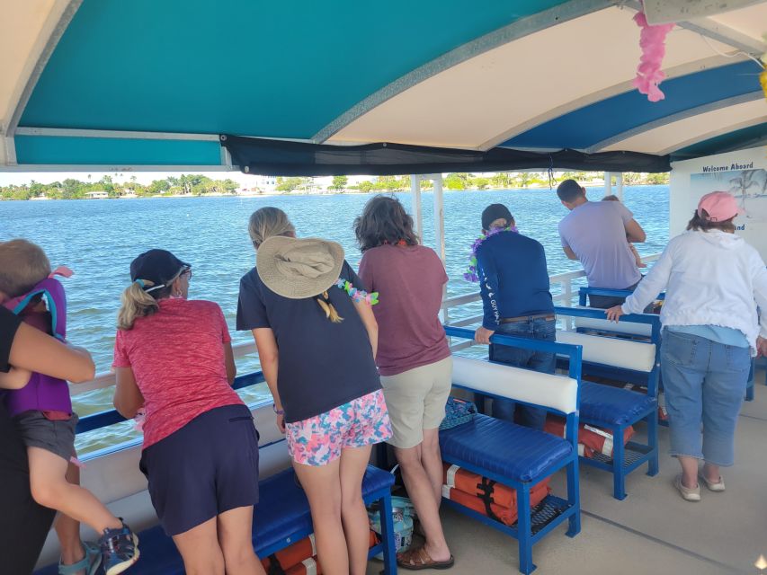 Private 2 hour Dolphin Sightseeing tour- Melbourne - Pricing and Value