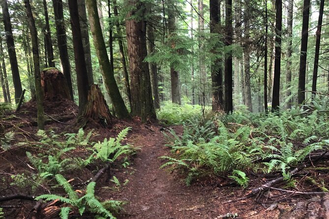 Private Adventure Mountain Biking in Seattle's Eastside - Exploring the Trail Experience