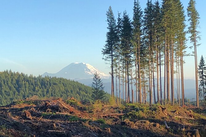 Private Adventure Mountain Biking in Seattle's Eastside - What’s Included and What to Bring
