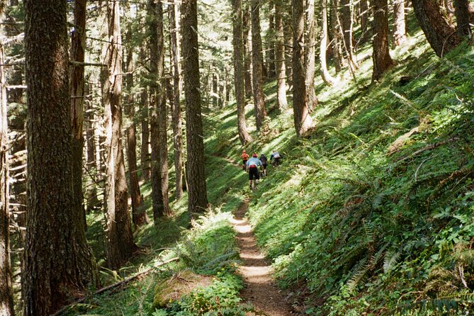 Private Adventure Mountain Biking in Seattle's Eastside - Who Will Love This Tour?