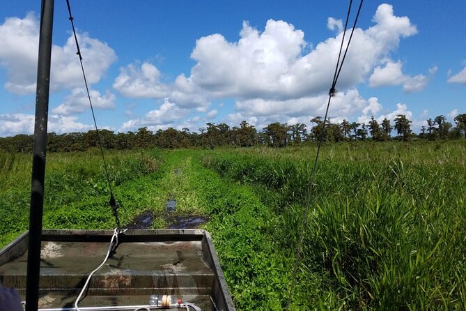 Private Airboat Swamp Tour - Who Should Book This Tour?