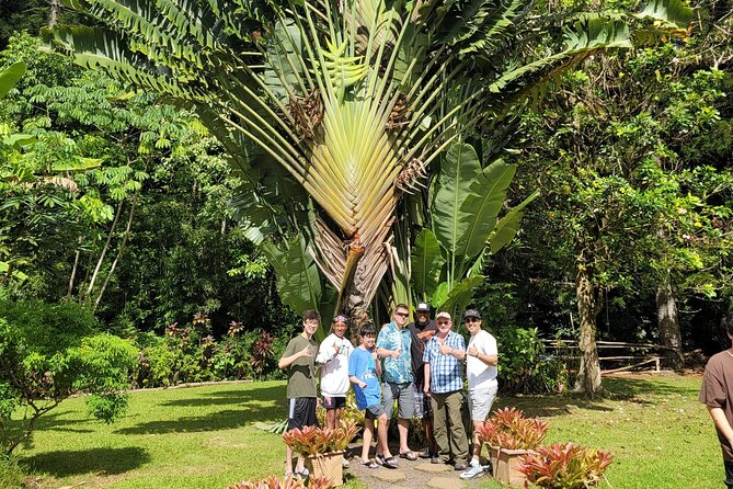 Private: Byodo-in Temple with Discounted Waimea Botanical Garden - Is It Worth the Price? Analyzing the Value