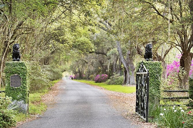 Private Chauffeur & Admission to Middleton & Magnolia Plantation + Box Lunch - Why This Tour Works Well