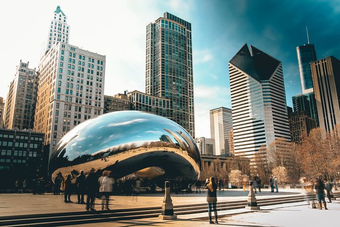 Private Chicago Guided Tour with Hotel Pickup - Who Will Love This Tour?