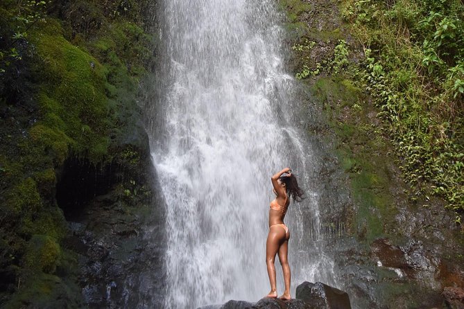 Private Circle Island Tour we build your dream Itinerary - An Honest Look at the Private Circle Island Tour in Oahu